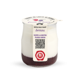 Buffalo milk yogurt with cereals - 130g - low lactose