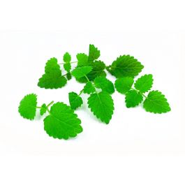 FRESHLY CUT SOIL-GROWN LEMON BALM MICRO CRESS - 15G - ORDER BEFORE 12NN ...