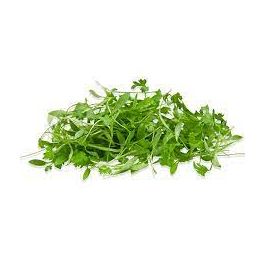 Freshly cut soil-grown micro coriander cress - 25g - ORDER BEFORE 12NN ...