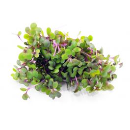FRESHLY CUT SOIL-GROWN RED CABBAGE MICRO CRESS - 30G- ORDER BEFORE 12NN ...