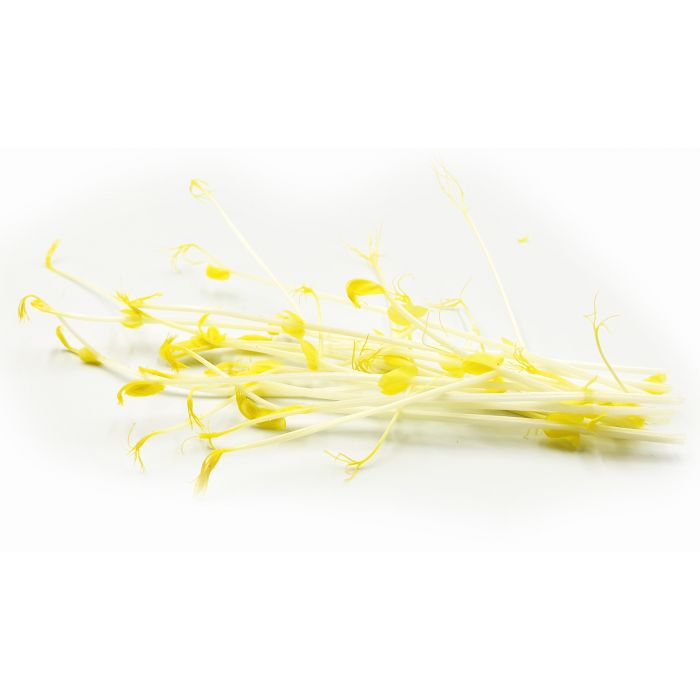 Freshly cut soil-grown golden pea cress - 20g - ORDER BEFORE 12NN FOR ...
