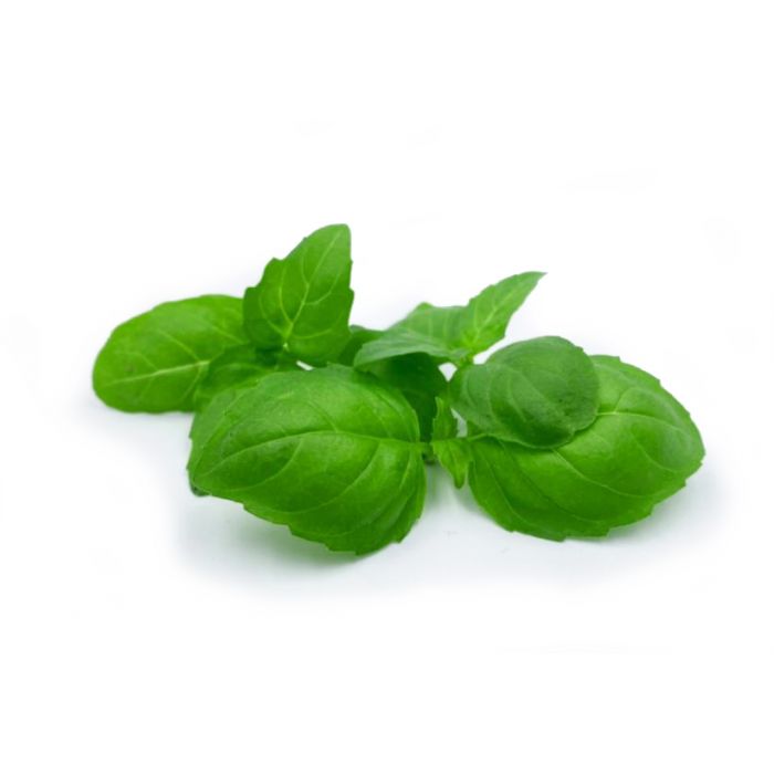 Freshly cut soil-grown Italian basil micro cress - 30g - ORDER BEFORE ...