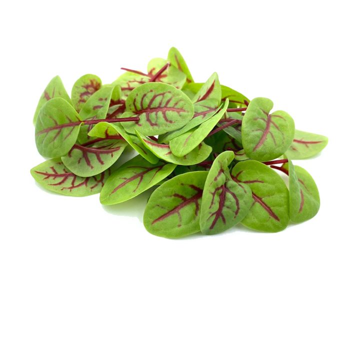 FRESHLY CUT SOIL-GROWN SORREL RED VEIN MICRO CRESS - 55 LEAVES - ORDER ...