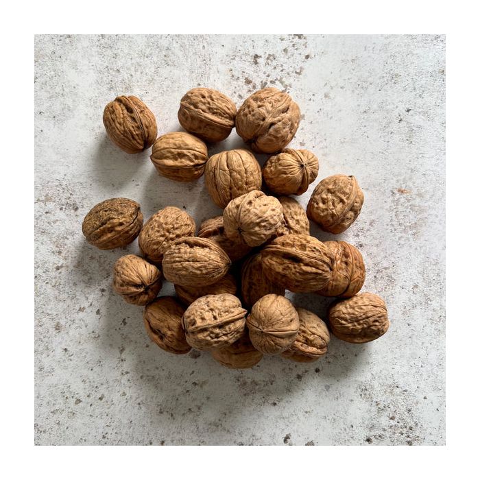 Walnut - Dubai and Abu Dhabi - Secrets Fine Food