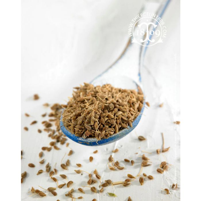 Wild anise - 400g