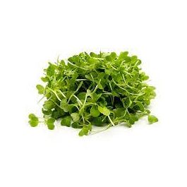 Freshly cut soil-grown wild mustard micro cress - 40g - ORDER BEFORE ...